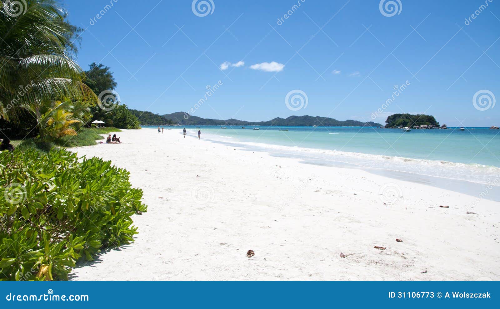 Anse Volbert Beach on Praslin in Seychelles Stock Image - Image of tree ...