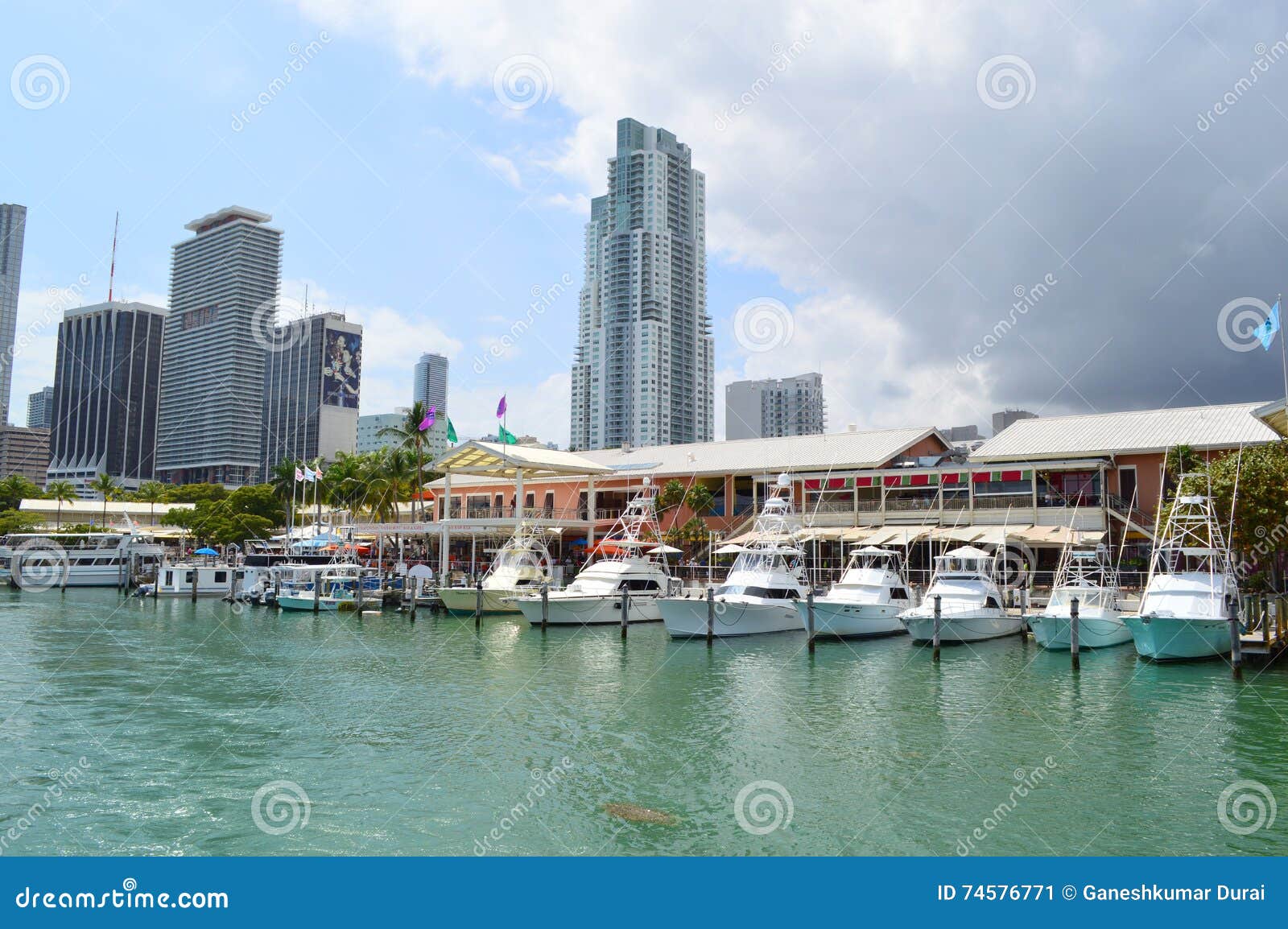 Ansicht Von Bayfront-Park in Miami Redaktionelles Foto - Bild von miami ...