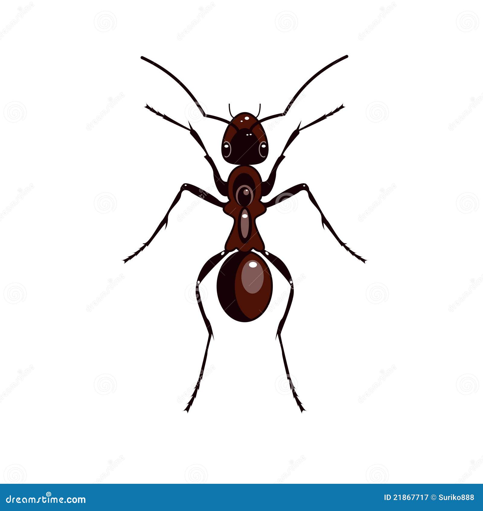 Ant stock vector. Illustration of strength, shiny, realistic - 21867717