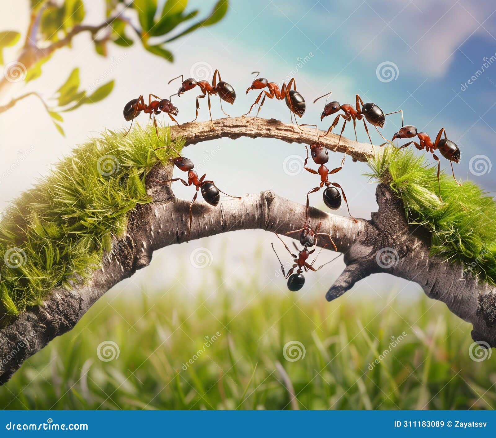 Ant Action Standing. Ant Bridge Unity Team, Concept Team Work Together ...
