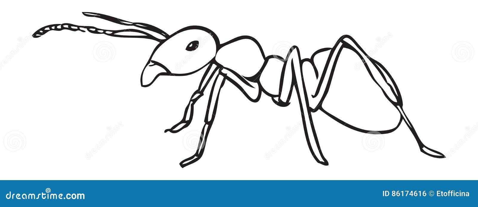 Ant stock vector. Illustration of closeup, insect, nature - 86174616