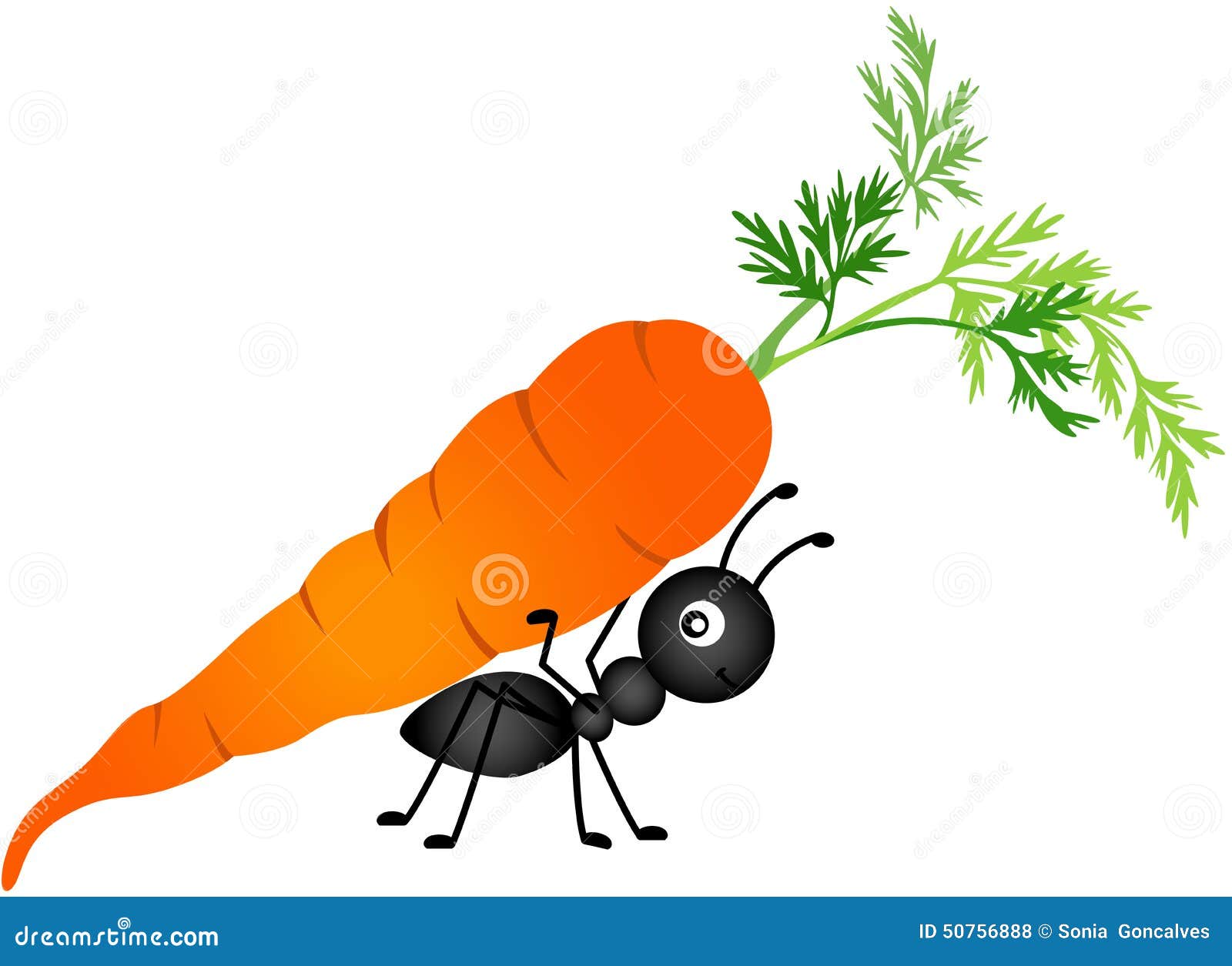 Ant Carrying Carrot stock vector. Illustration of flora - 50756888