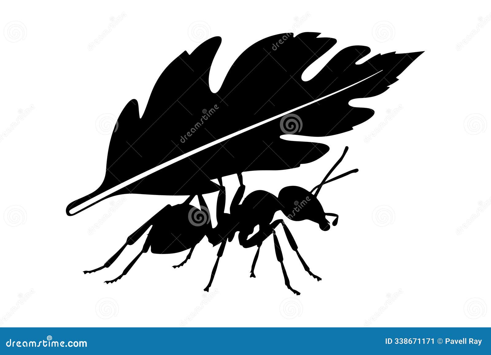 Inside an Ant Colony: a World of Cooperation Stock Vector ...