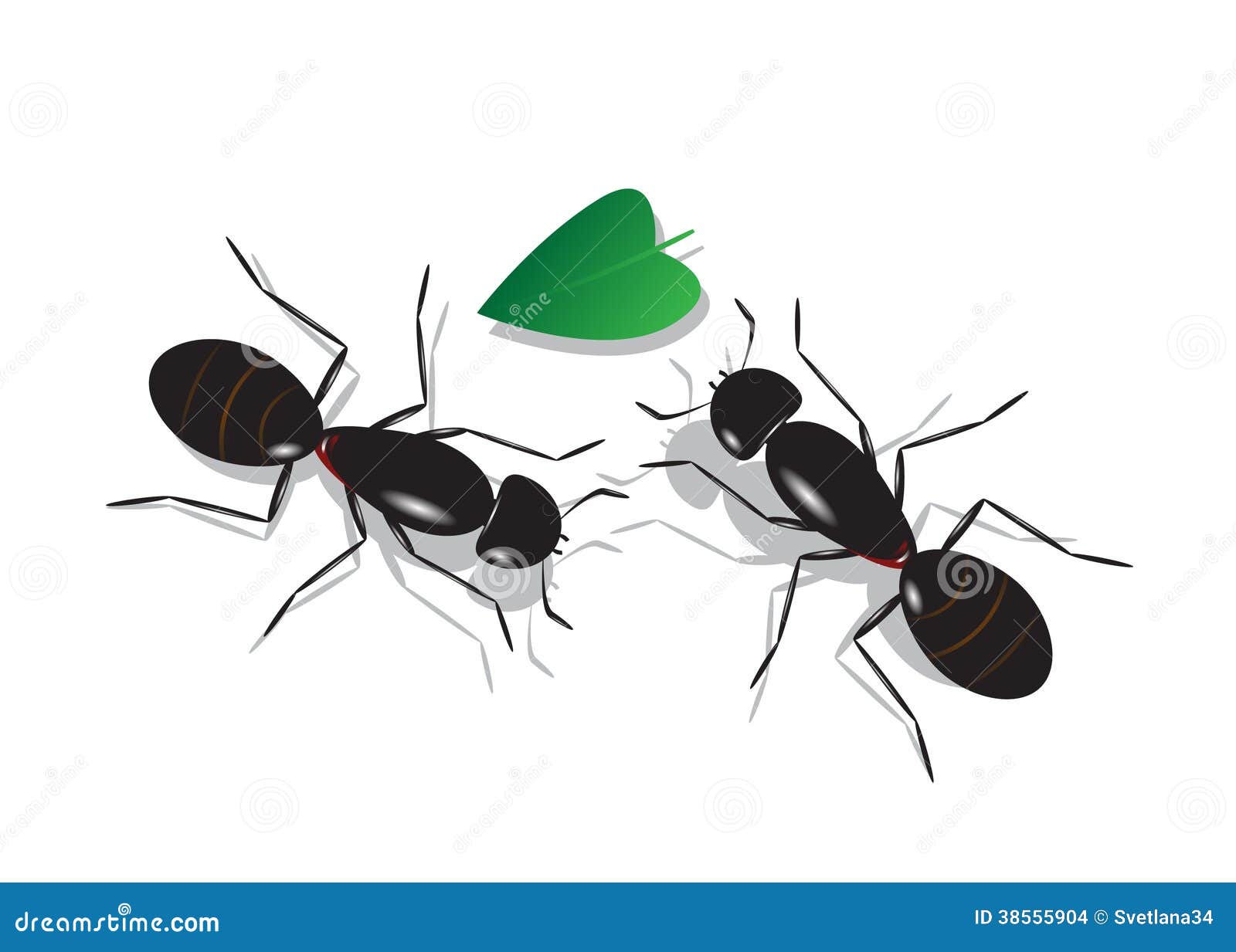 Ant. stock vector. Illustration of encounter, idea, antenna - 38555904