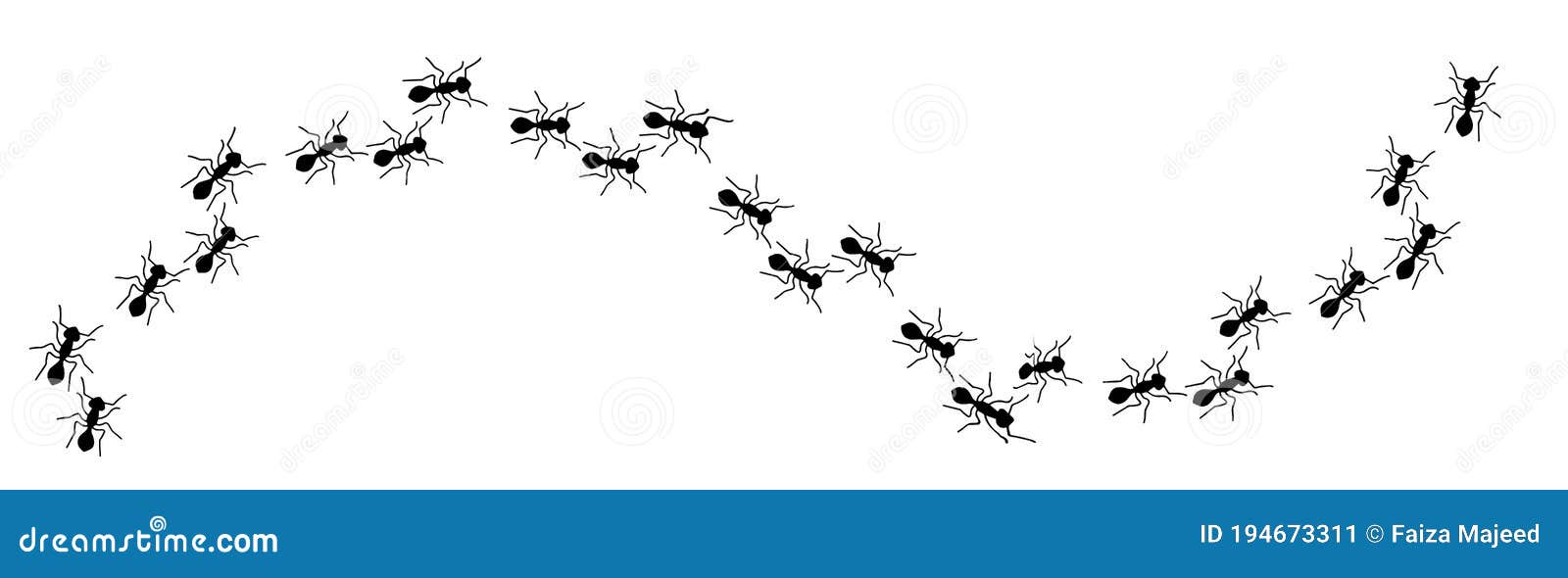 Ant Crawling Set Isolated on White Background Vector Illustration Stock ...