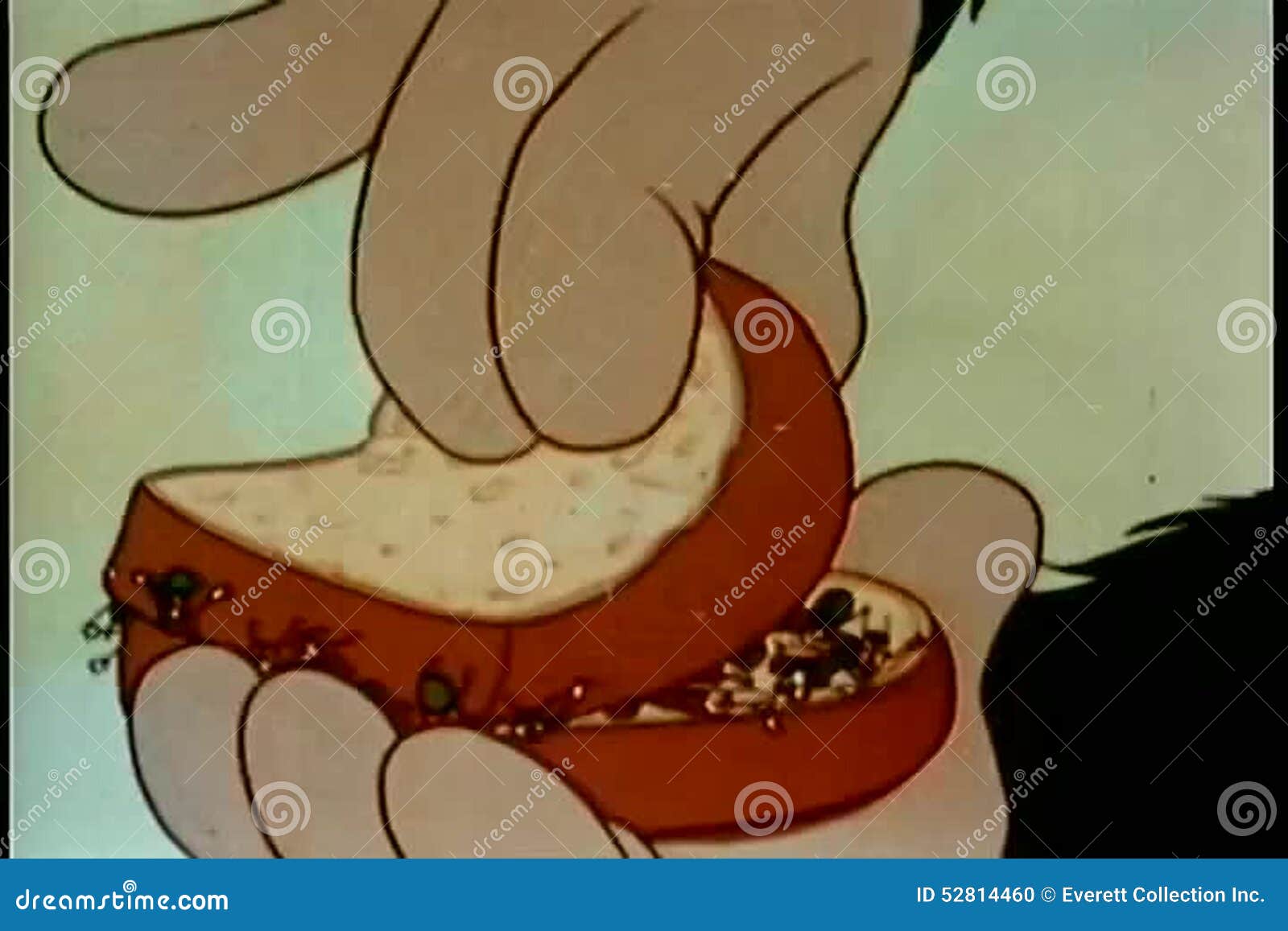 Ant Eater Eating an Ant Sandwich Stock Footage - Video of holding ...