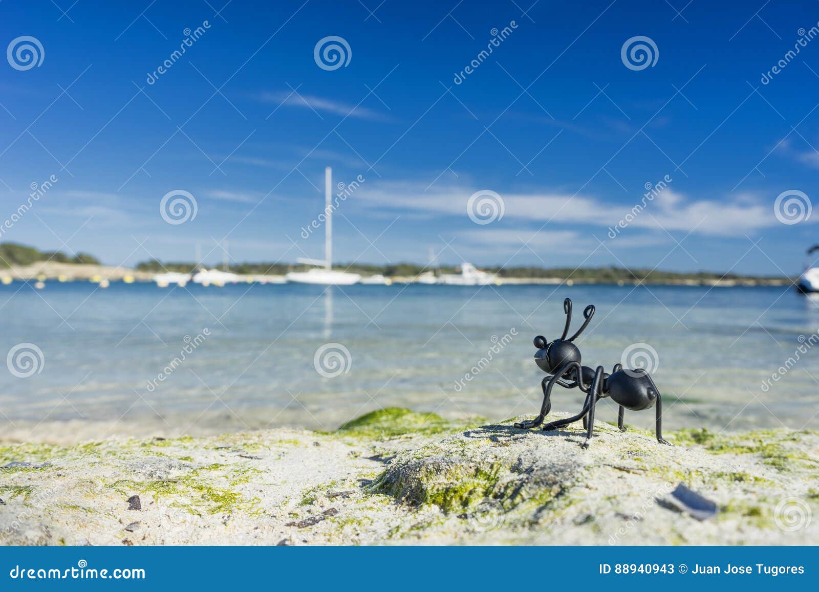 Ant figure stock image. Image of pest, brown, summer - 88940943