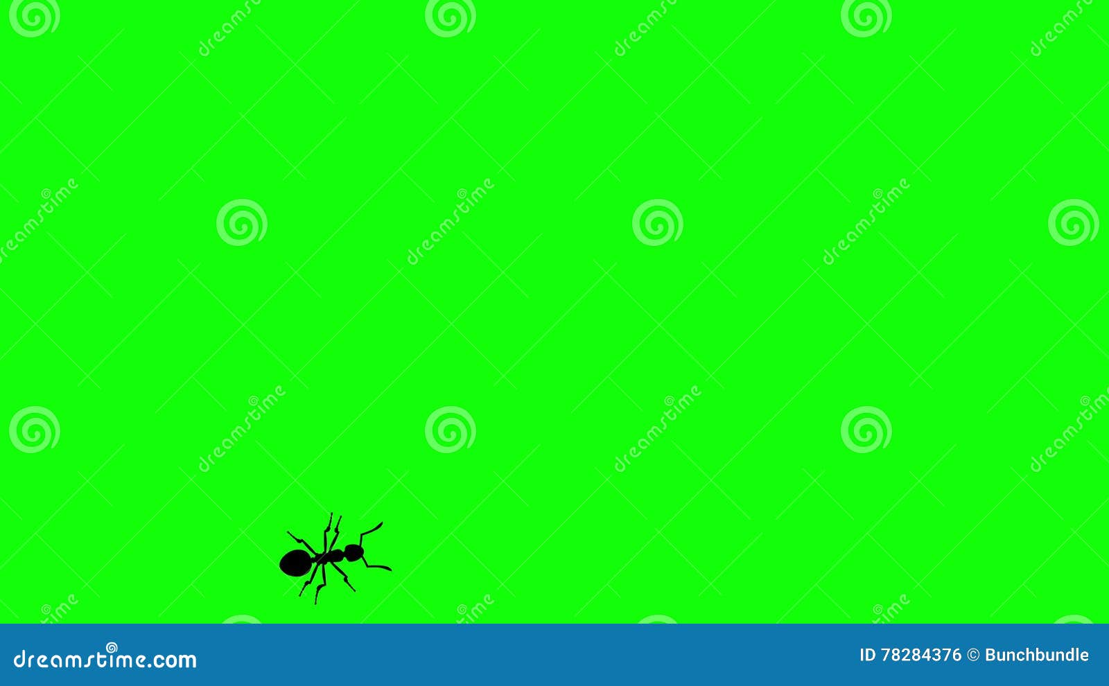 Ant on Green Screen, CG Animated Silhouette, Seamless Loop Stock ...