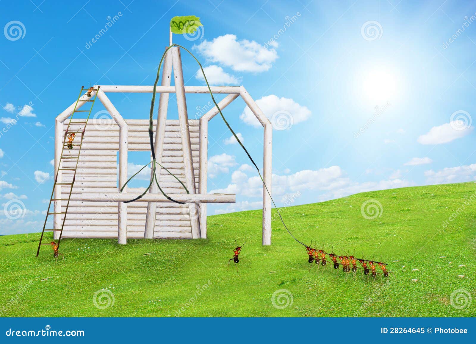Ant home stock image. Image of unity, animal, nature - 28264645