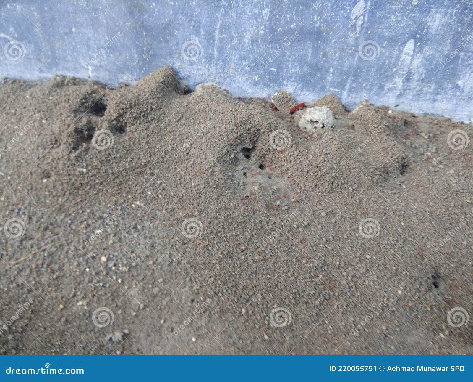 Ant House Hole in the Yard of the House Stock Image - Image of floor ...