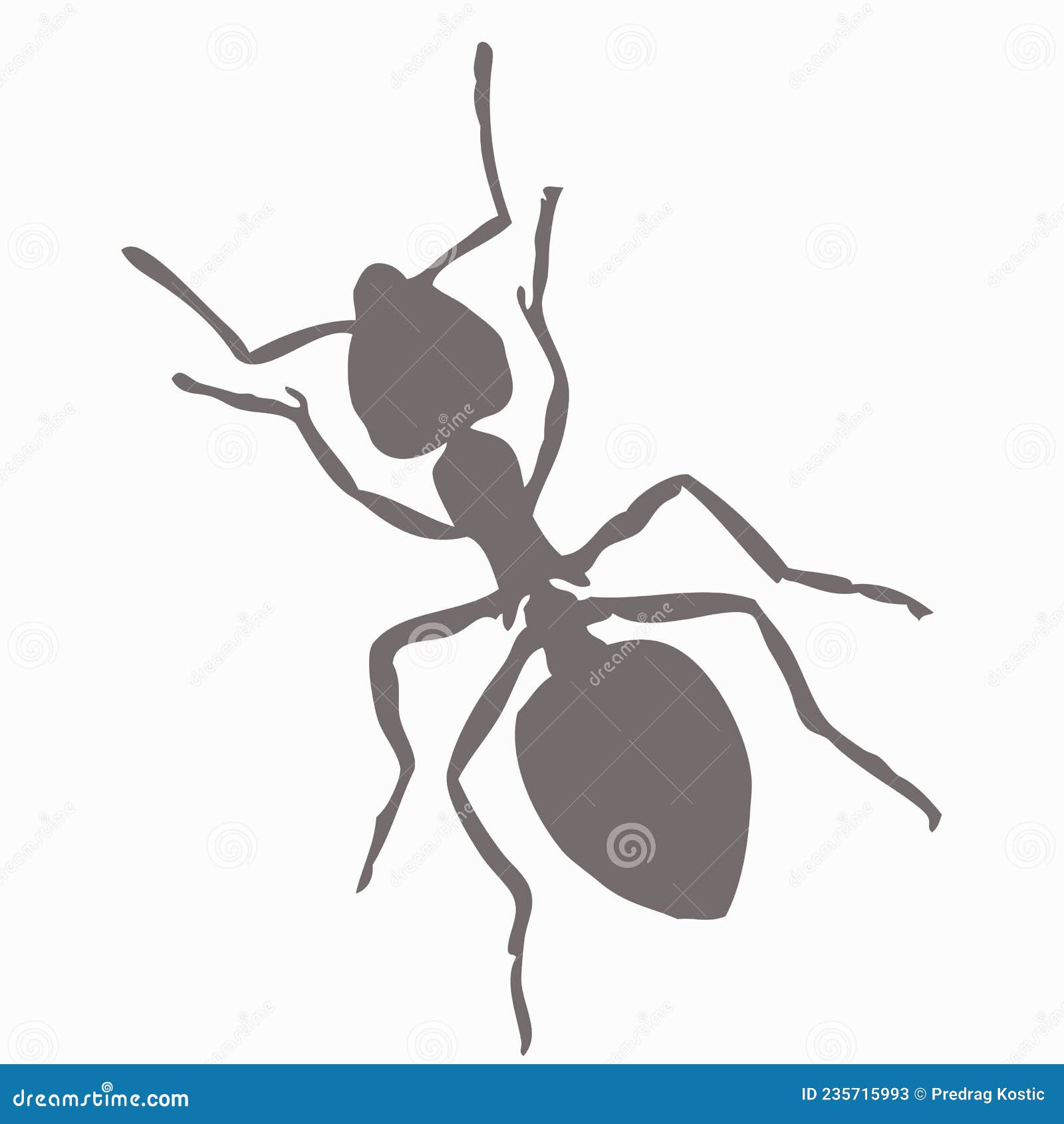 Ant icon stock illustration. Illustration of wing, calligraphy - 235715993