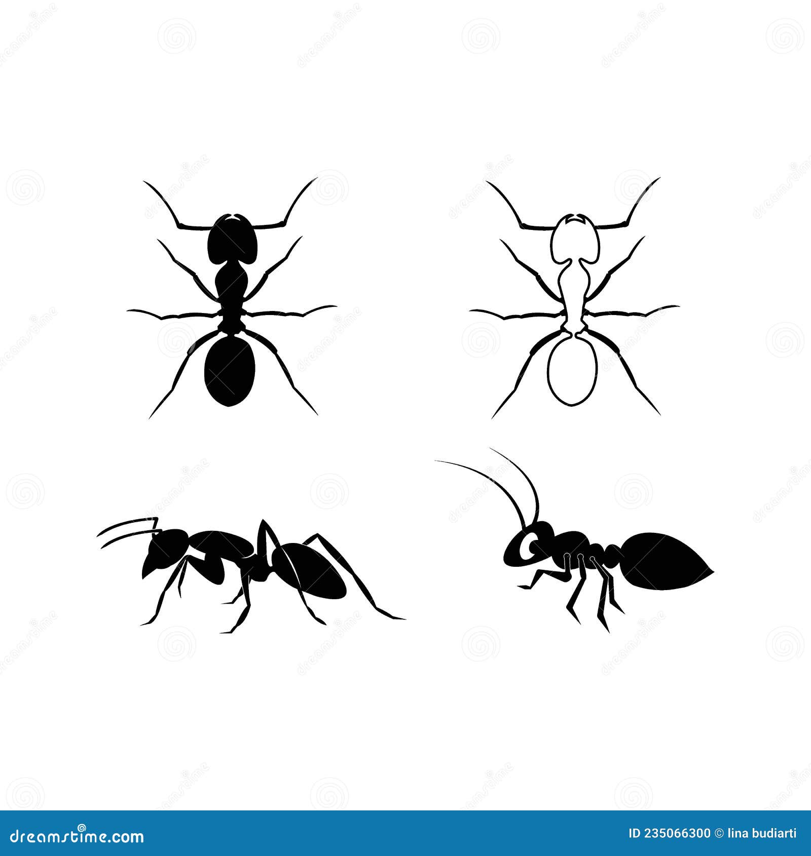 Ant icon stock vector. Illustration of colony, green - 235066300