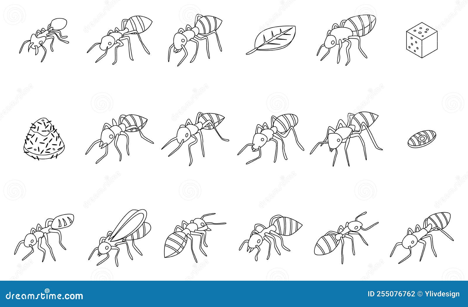 Ant Icons Set Vector Outline Stock Vector - Illustration of small ...