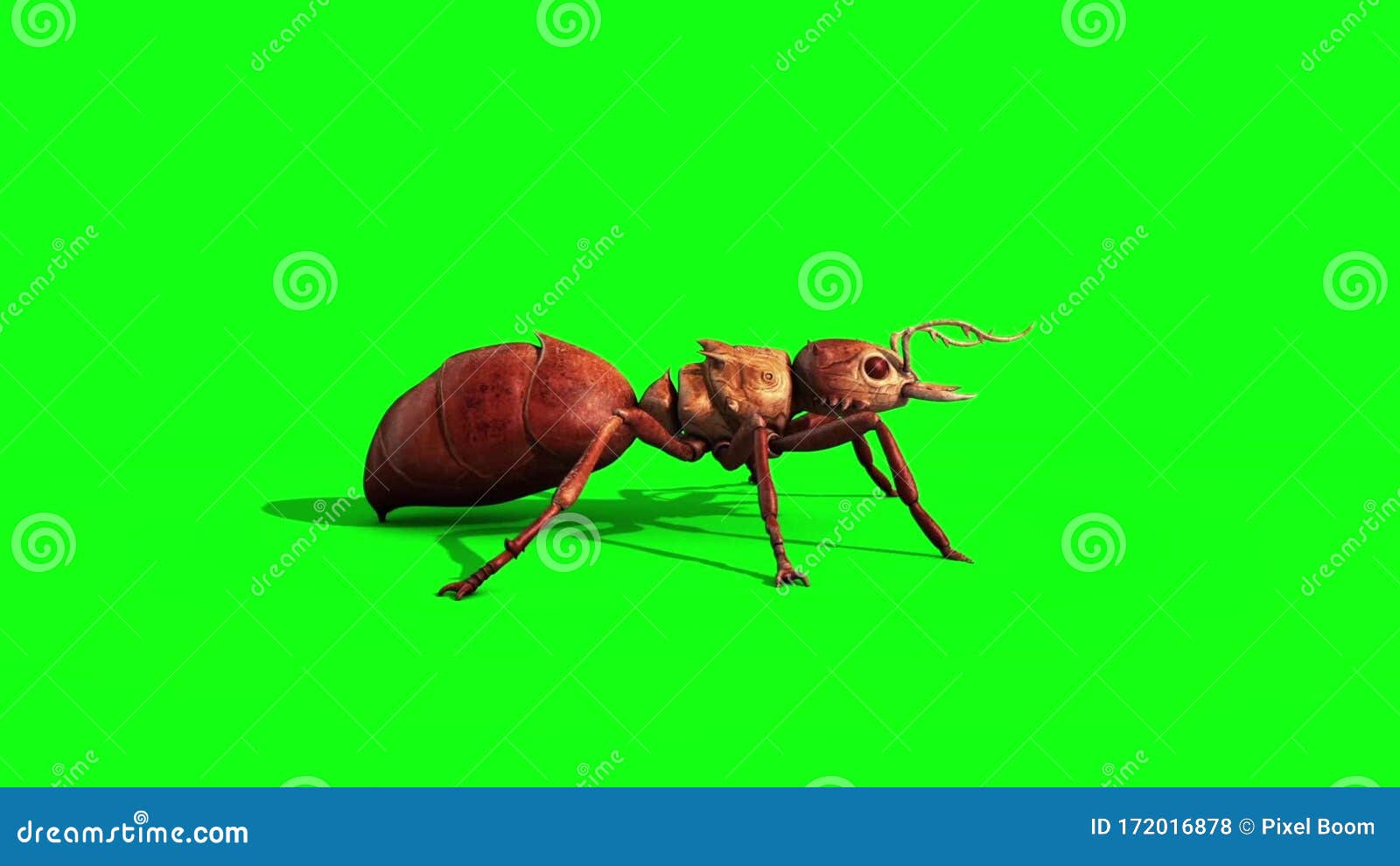 Ant Insect Attack Side Green Screen 3D Rendering Animation Stock ...