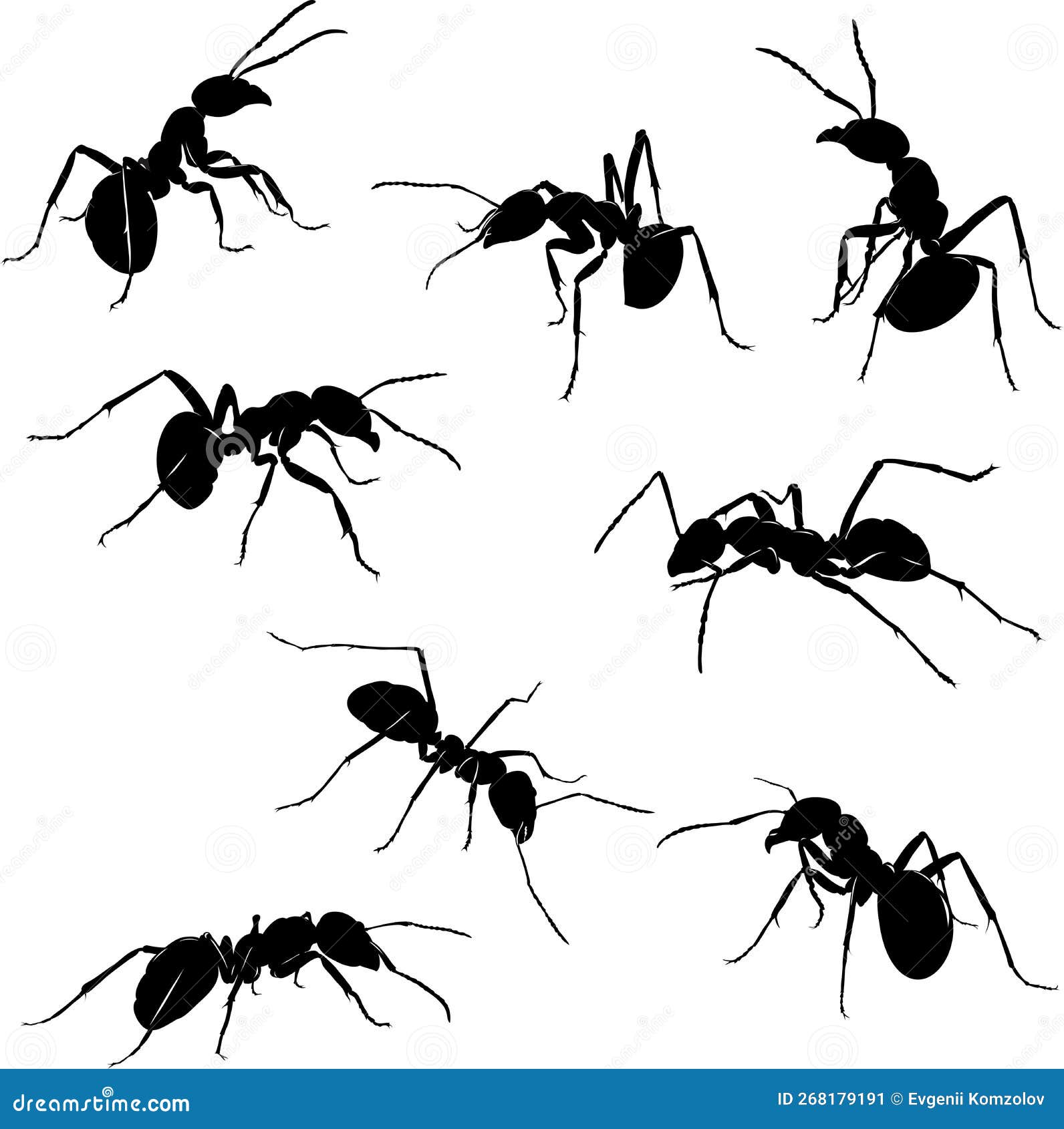 Ant, Insect, Crawling, Black, Vector, Drawing, Silhouette Stock ...