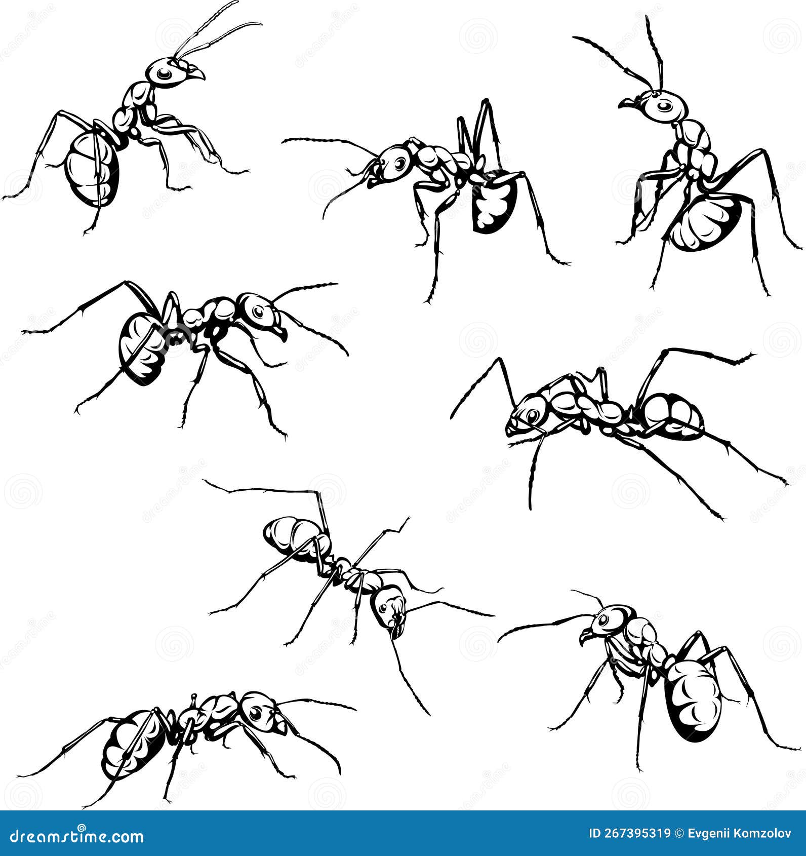 Ant, Insect, Crawling, Black, Vector Stock Vector - Illustration of ...