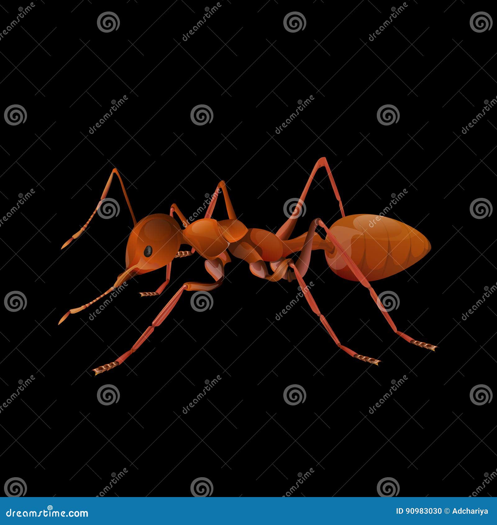 Ant stock vector. Illustration of cute, isolated, brown - 90983030