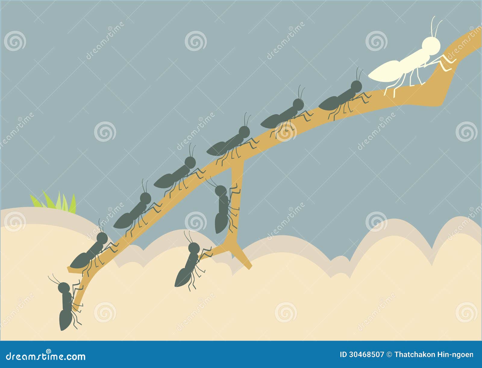 Ant leader, stock vector. Illustration of antenna, animal - 30468507