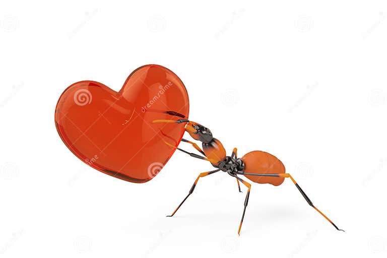 An Ant with Red Heart.3D Illustration. Stock Illustration ...