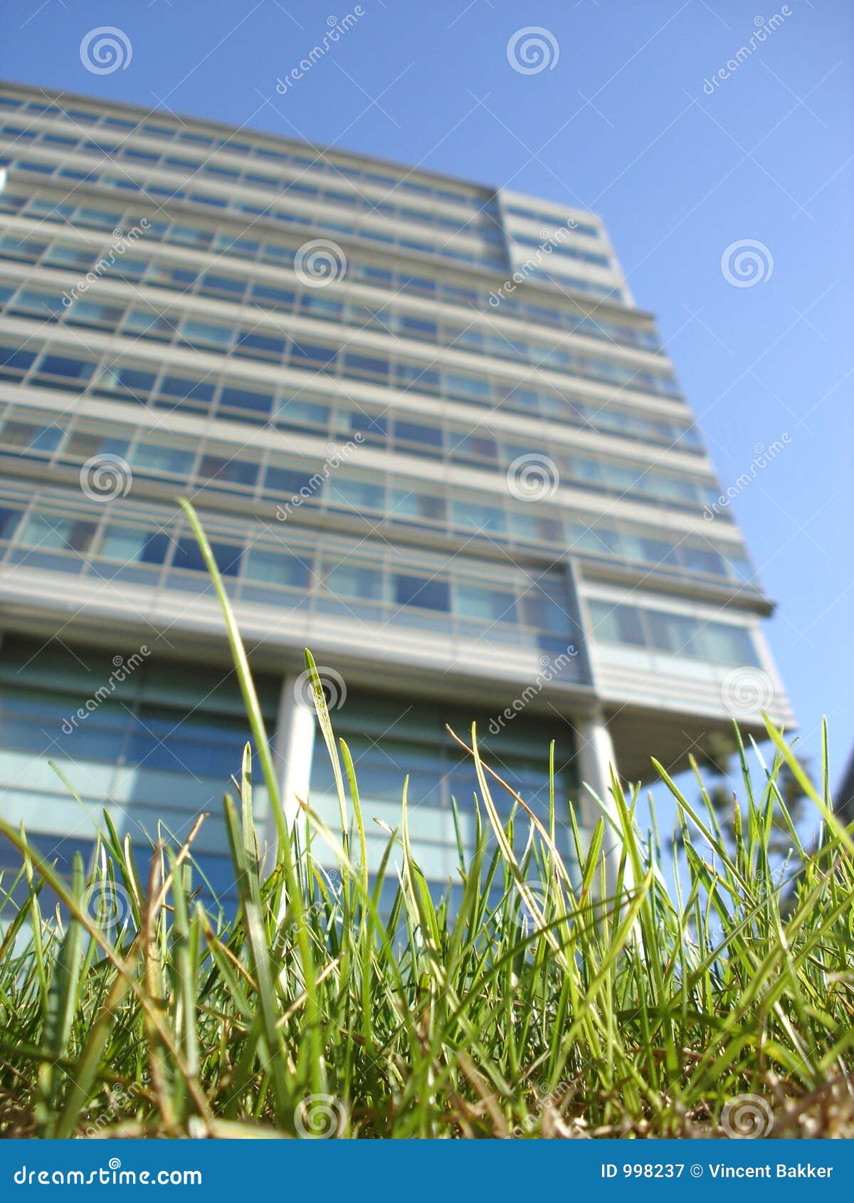 Ant s point of view 3 stock image. Image of perspective - 998237