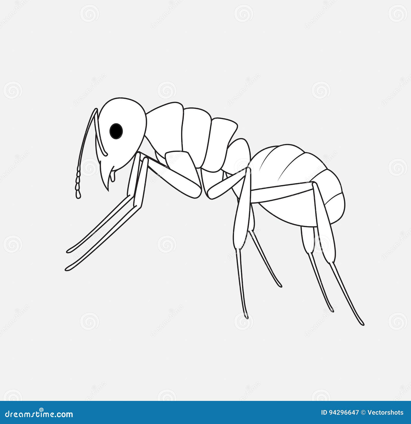 Ant Sketching stock vector. Illustration of pest, infestation - 94296647