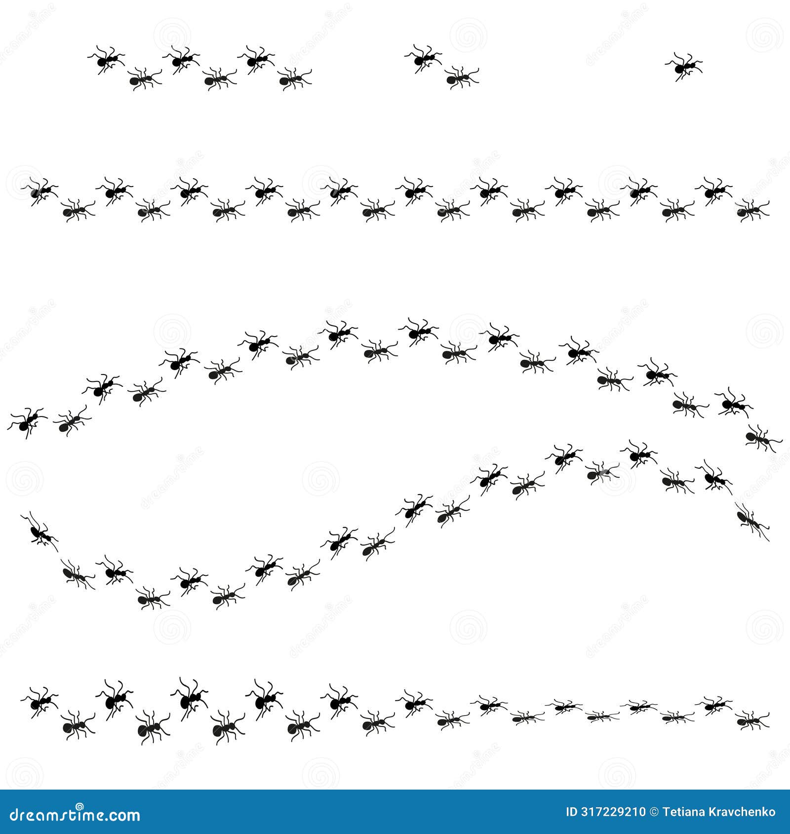 Ant Trails Pattern. Insect Path Lines. Ants Marching Vector Set. Vector ...