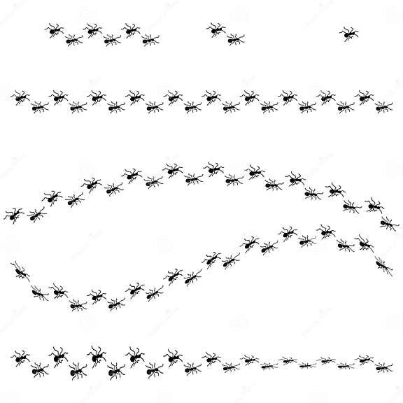 Ant Trails Pattern. Insect Path Lines. Ants Marching Vector Set. Vector ...