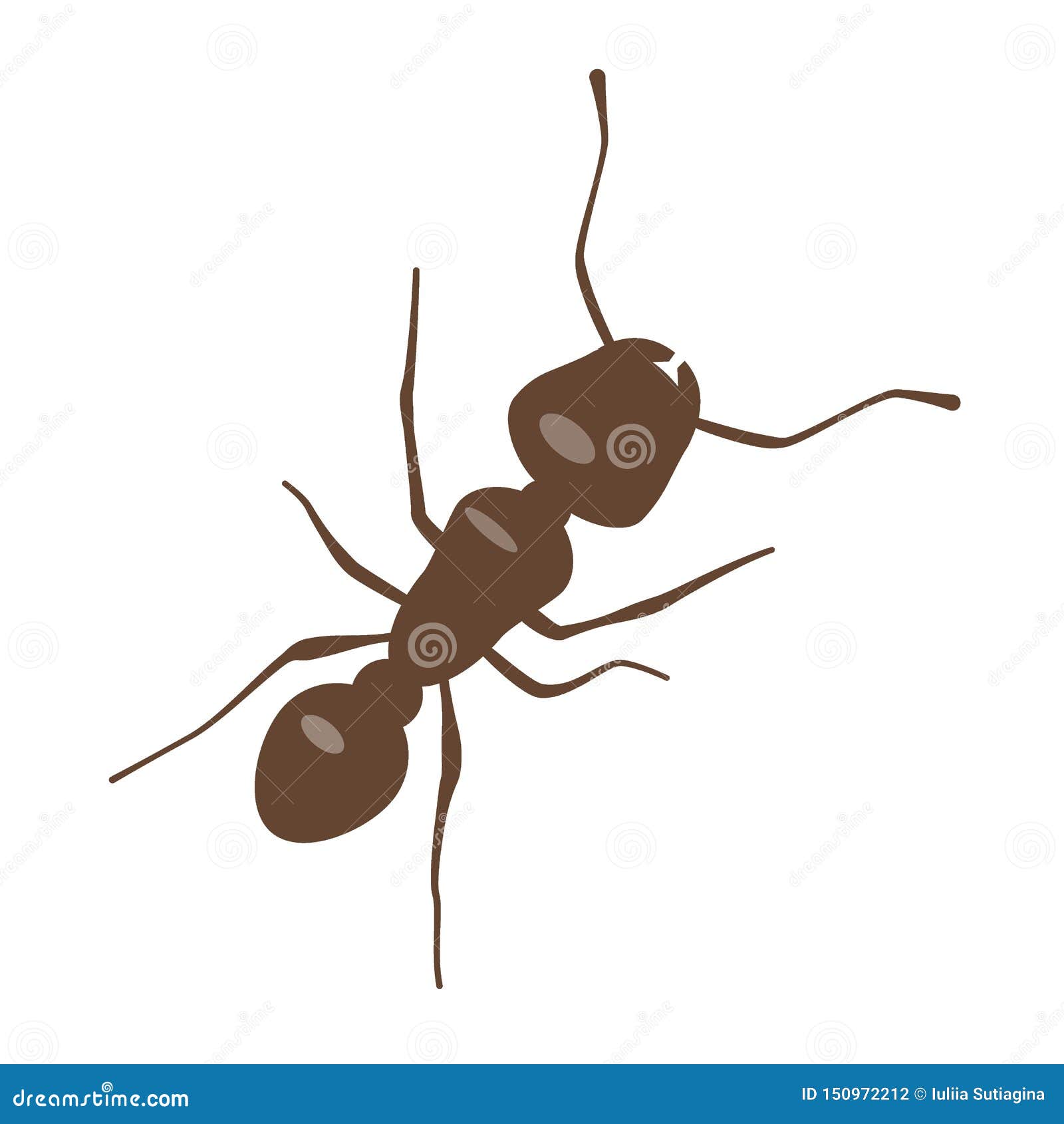 Ant Vector Illustration. Brown Little Ant on White Background Stock ...