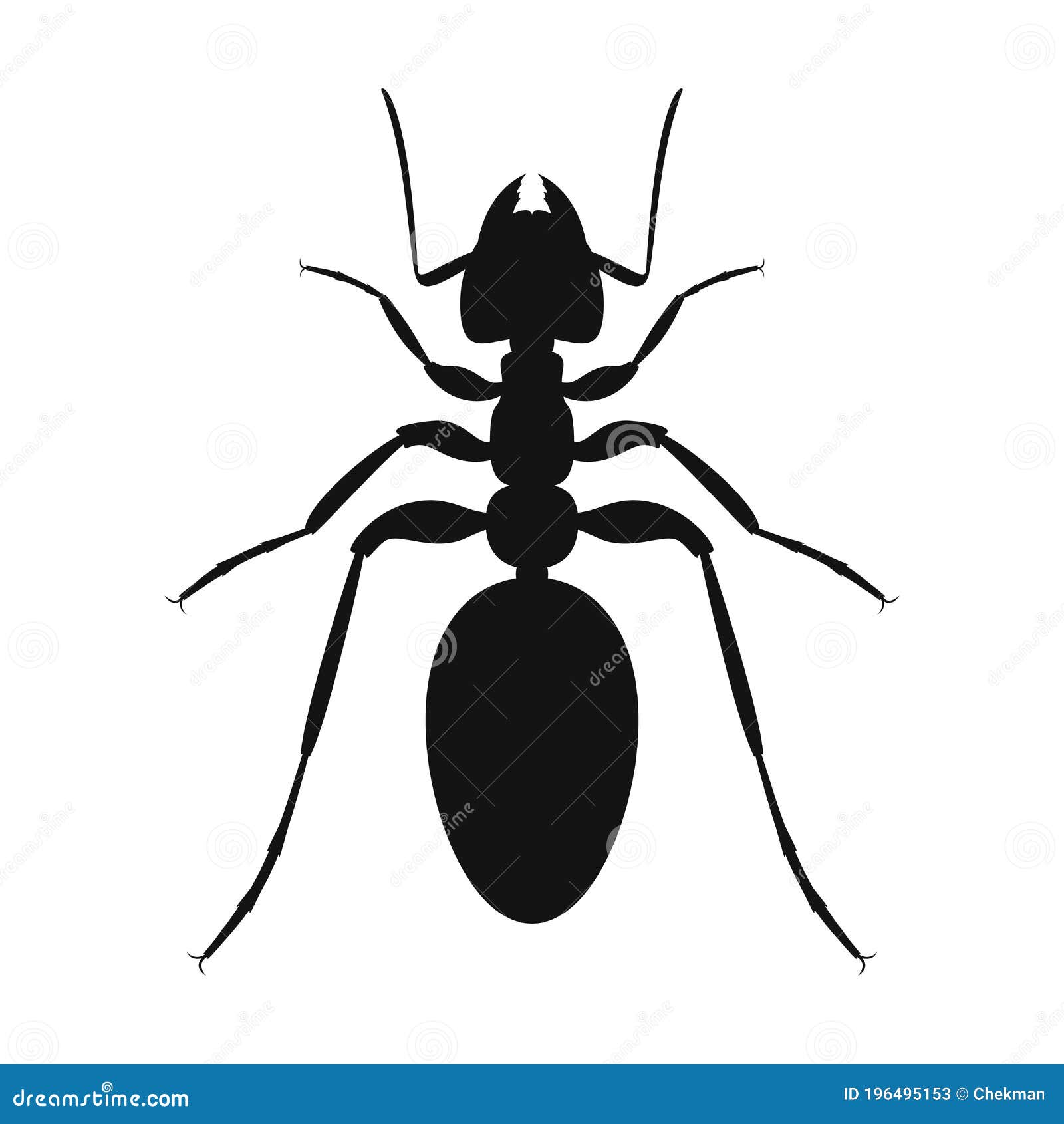 Black Ant Electronics Logo