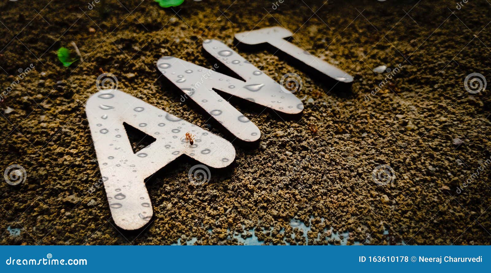 Ant Word Displayed on Soil Molecule with Live Creatures Concept on ...