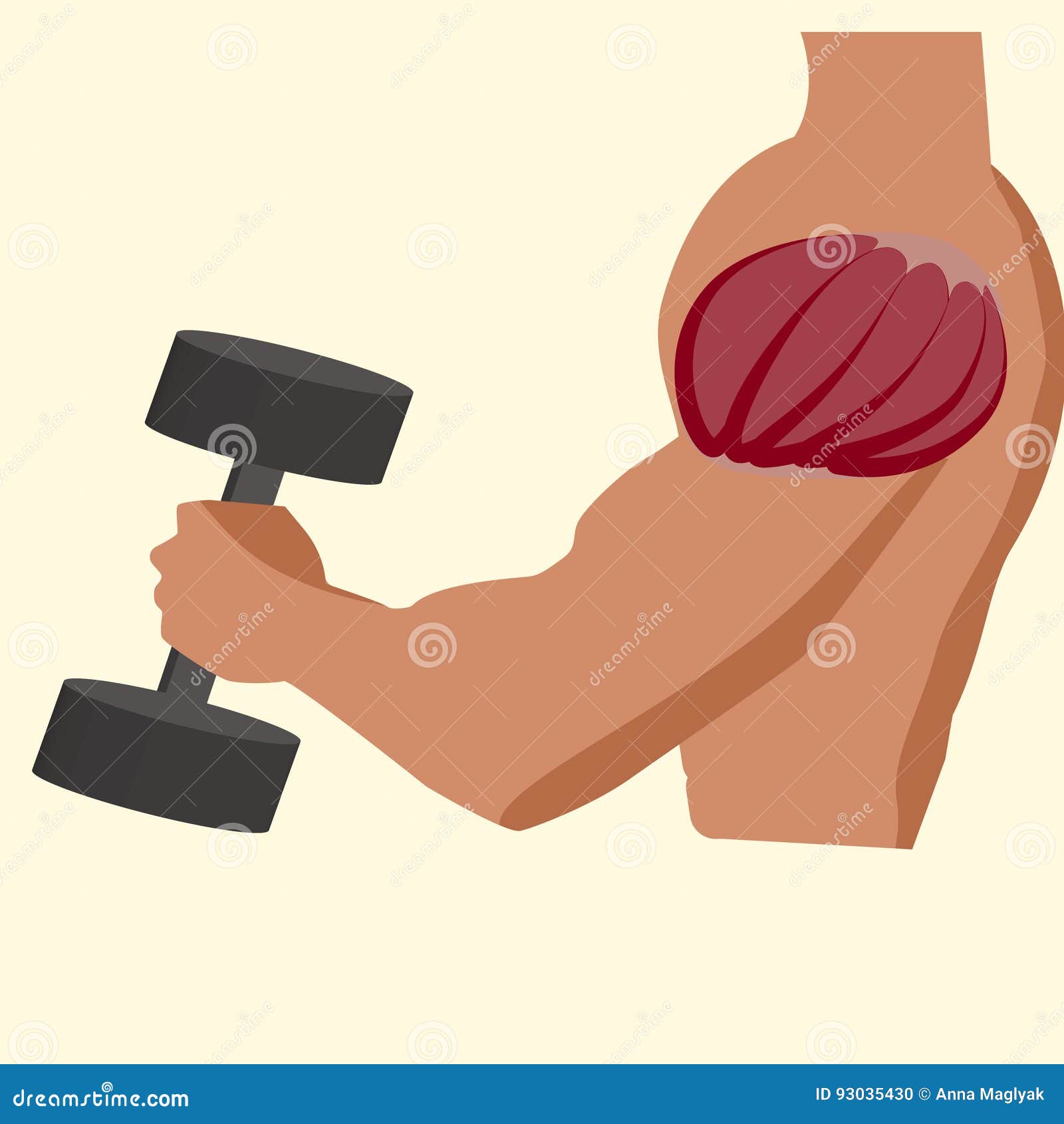 Contracting And Relaxing Of Arms Biceps And Triceps Muscles Outline ...