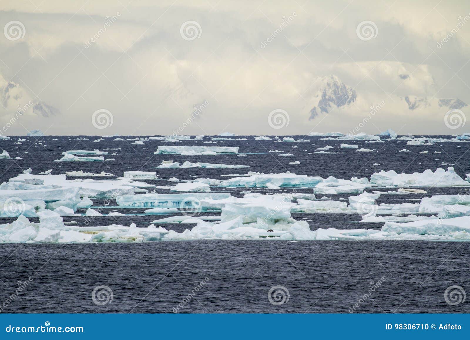 Antarctica - Floating Ice - Global Warming Stock Photo - Image of ...