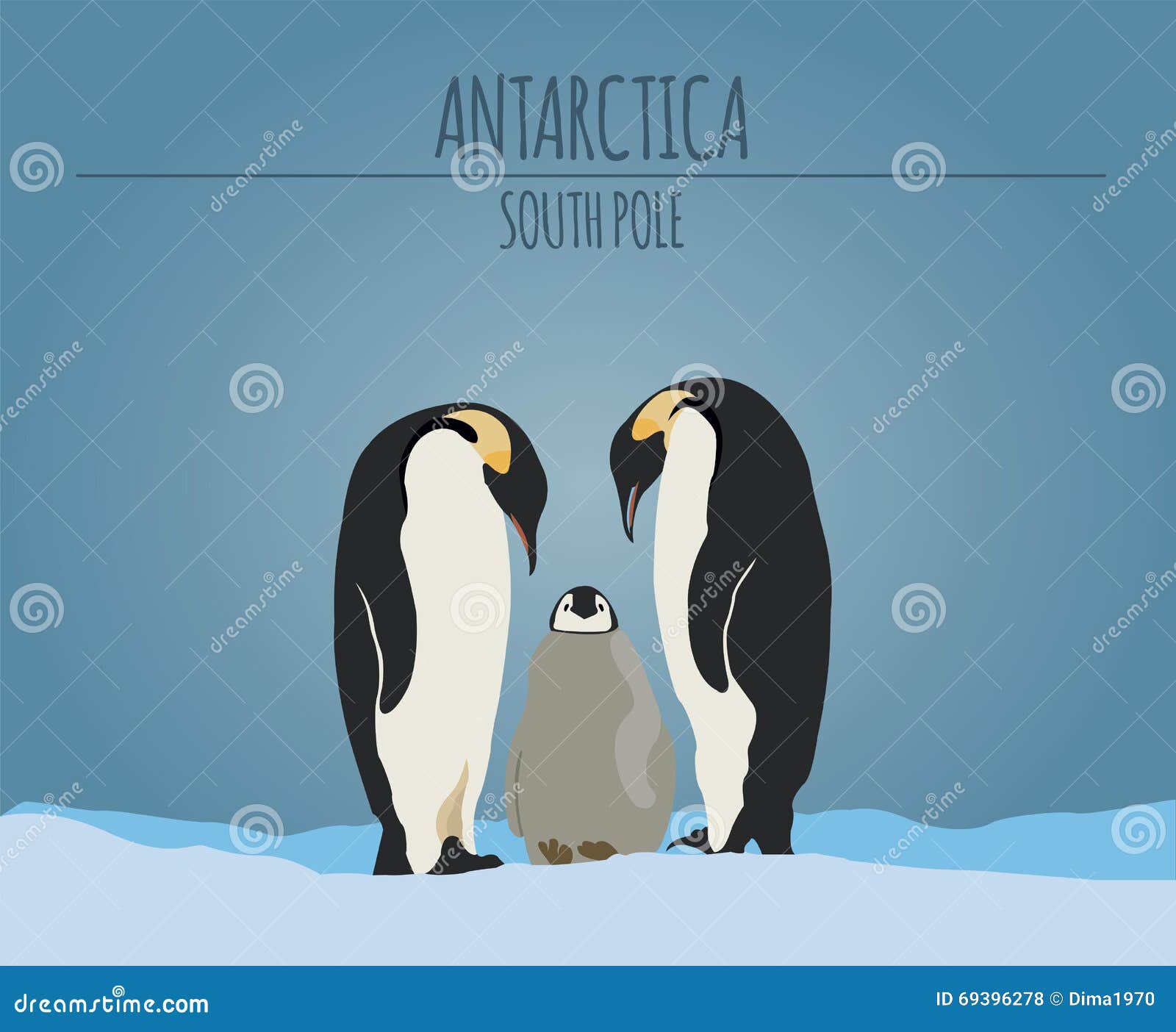Antarctica (South Pole) Graphic Template Stock Vector - Illustration of ...