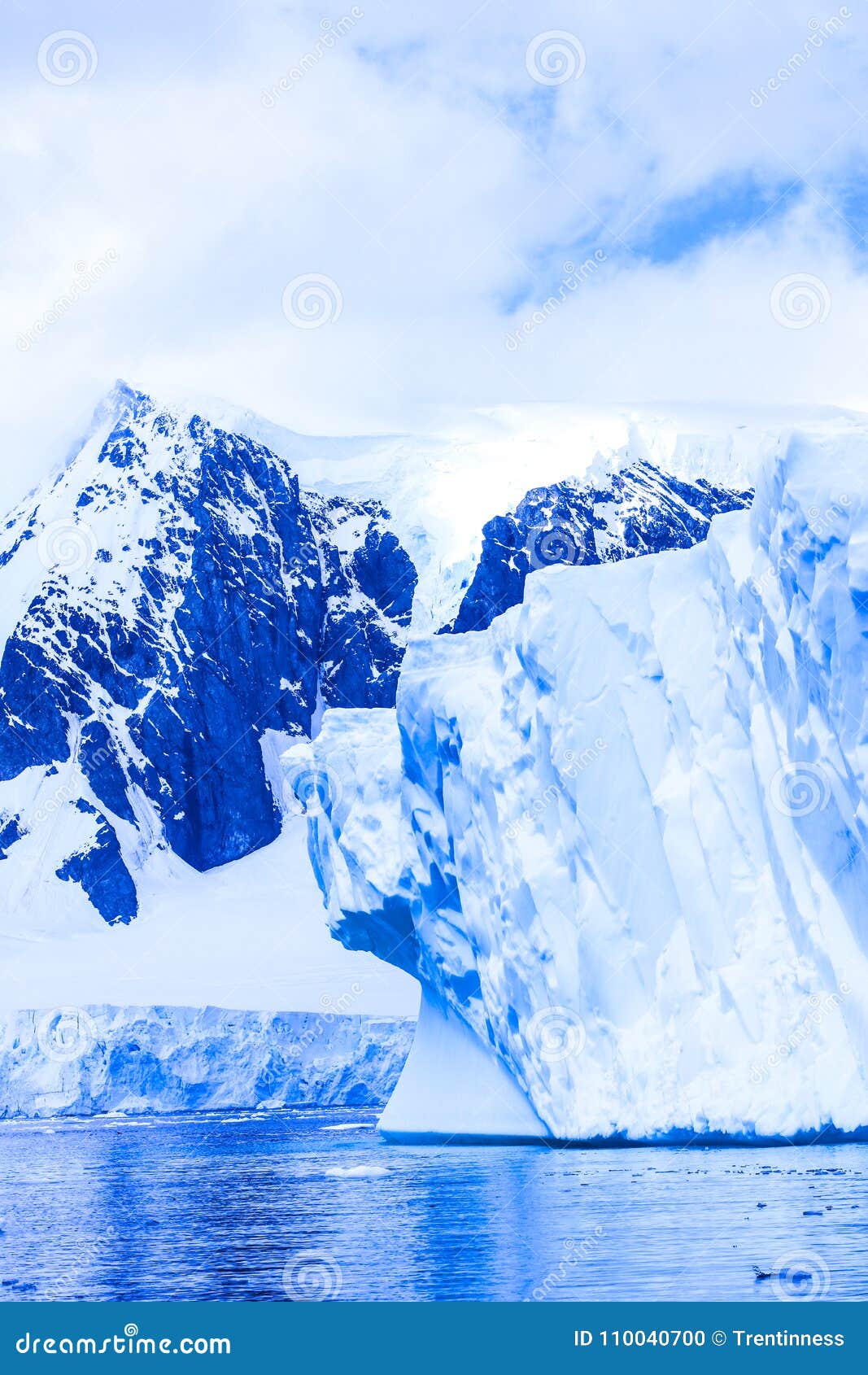 Antarctica in winter stock photo. Image of seal, cold - 110040700