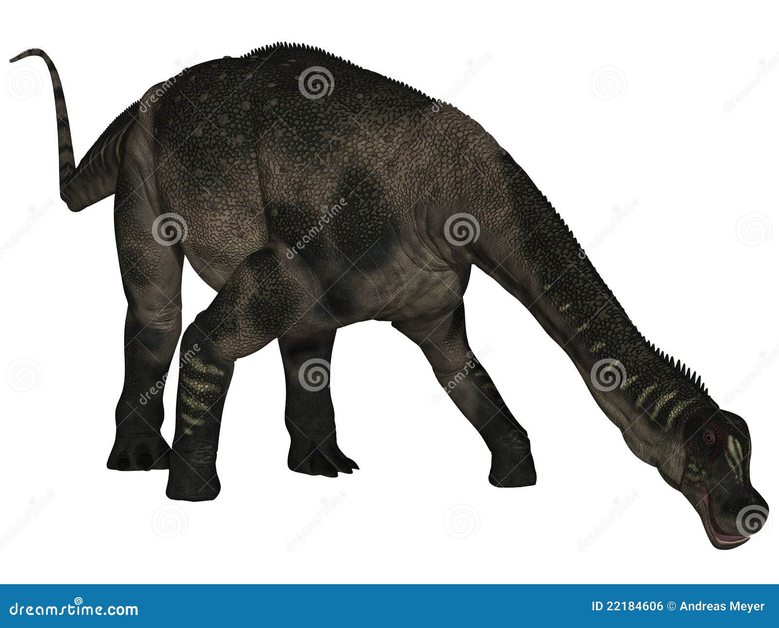 Antarctosaurus Dinosaur Side Profile Royalty-Free Stock Photography ...