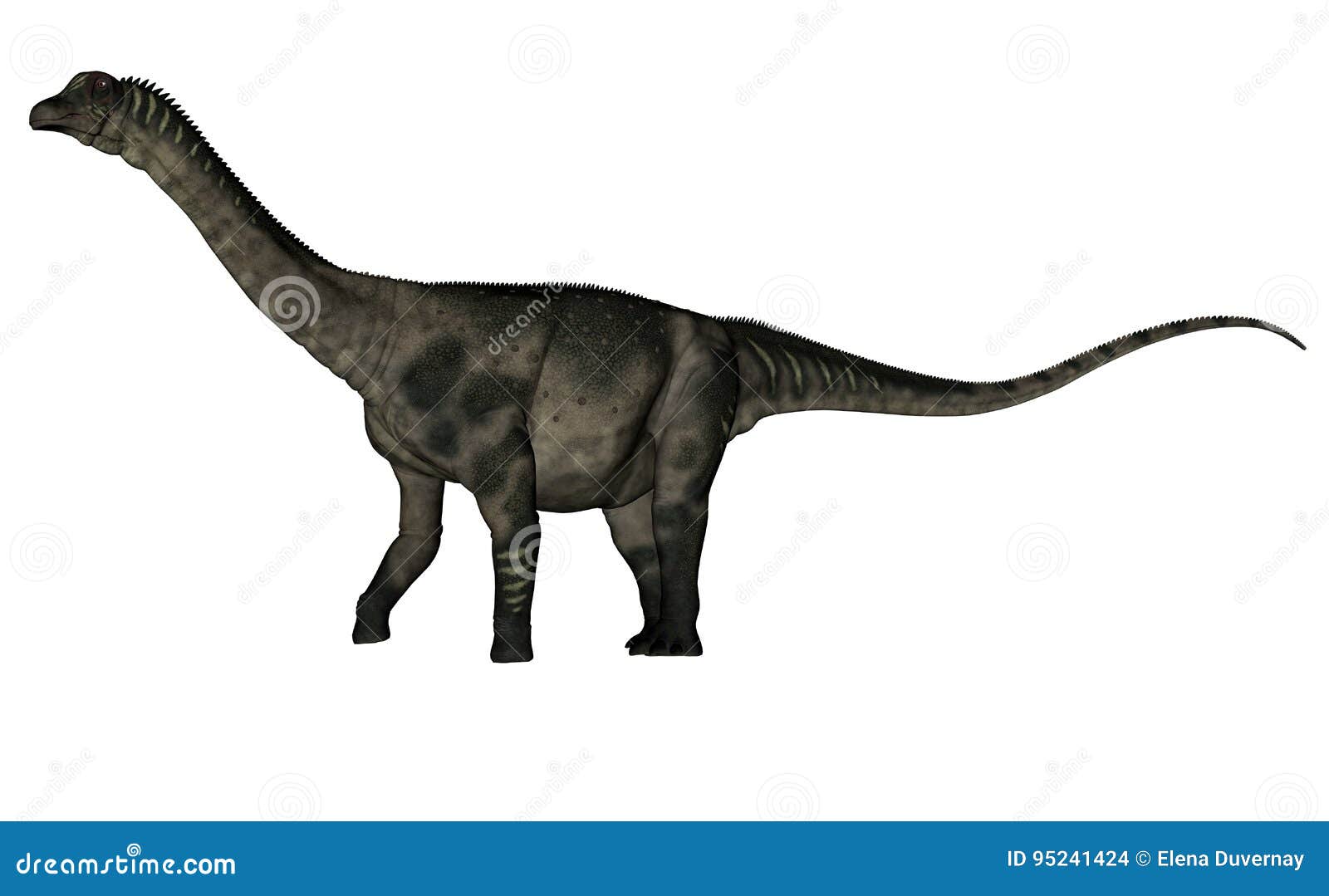 Antarctosaurus Dinosaur Side Profile Royalty-Free Stock Photography ...