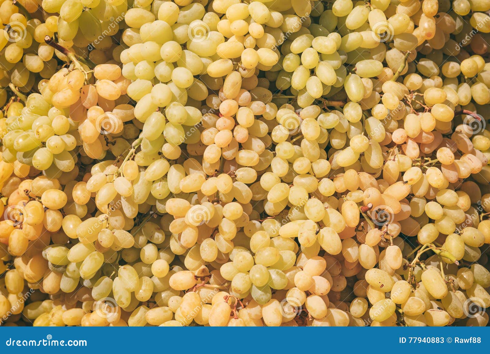 Antecedentes Completos De Las Uvas Blancas Imagen de archivo - Imagen ...