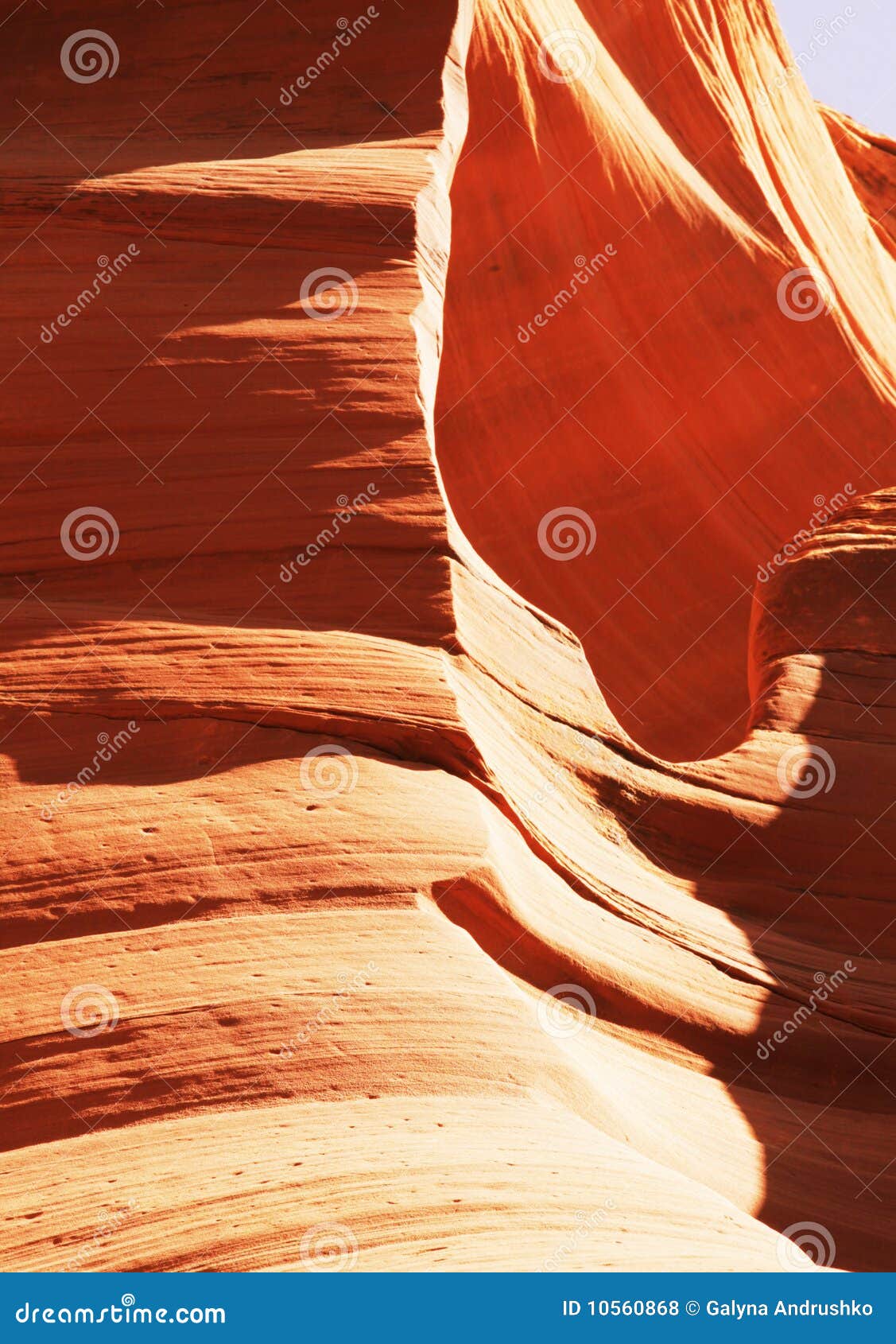 Antelope stock photo. Image of cave, stone, sunshine - 10560868