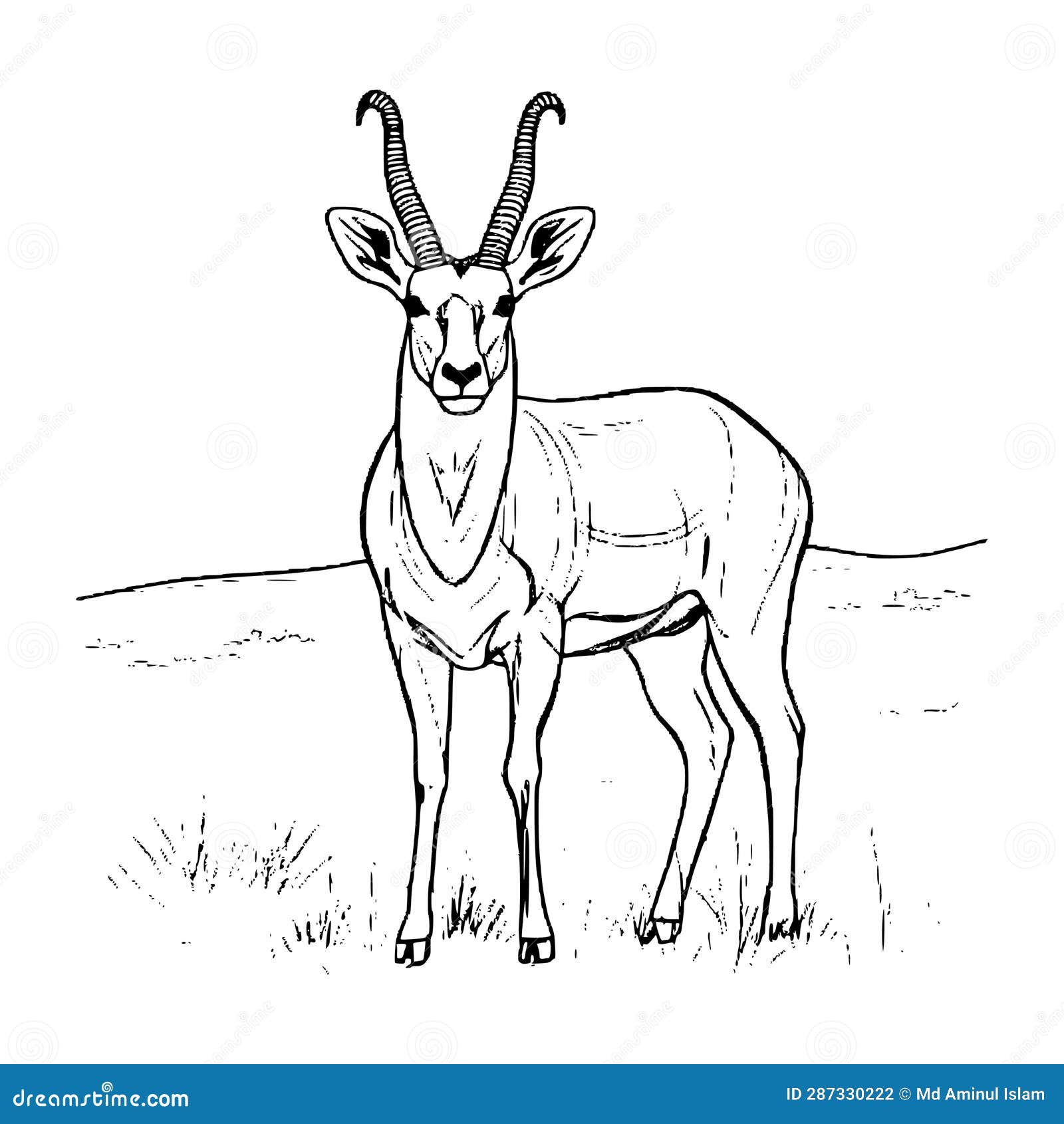 Antelope Coloring Pages For Kids Vector Illustration | CartoonDealer ...