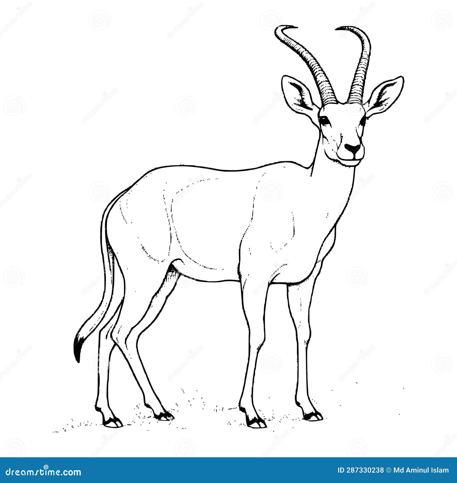 Antelope Coloring Pages for Kids Stock Vector - Illustration of page ...