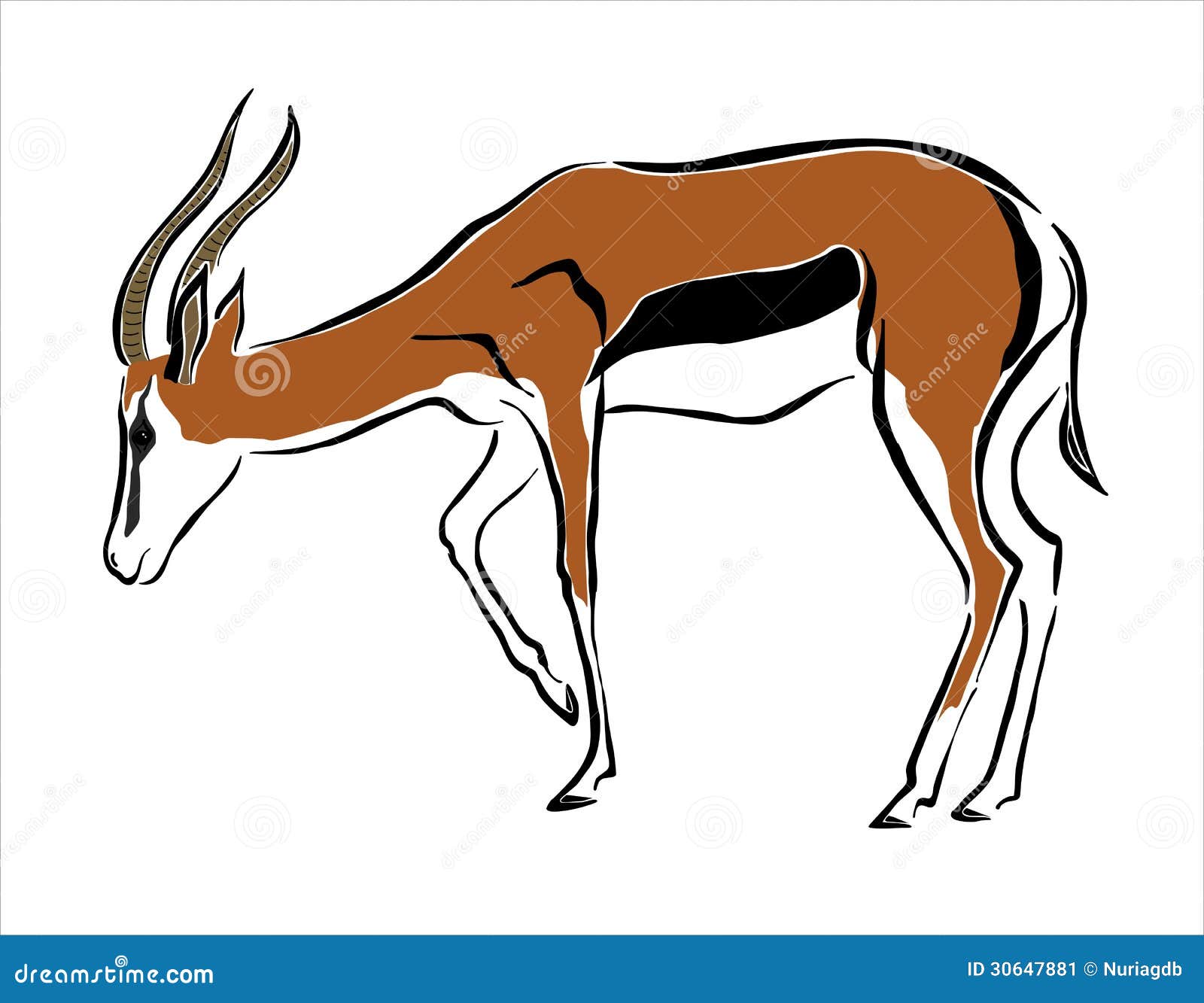 Antelope Stock Image - Image: 30647881