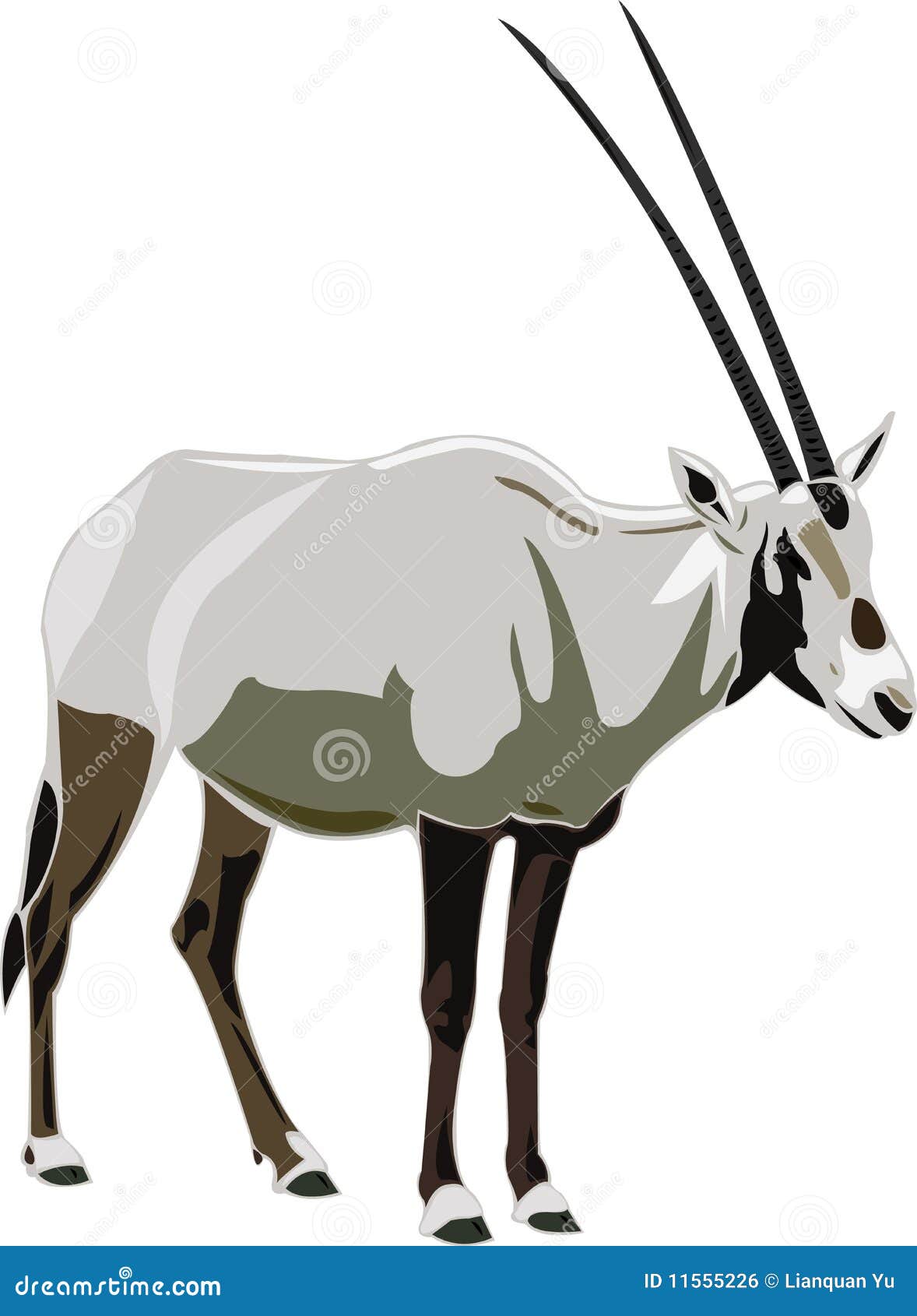 Oryx Cartoons, Illustrations & Vector Stock Images - 1995 Pictures to ...