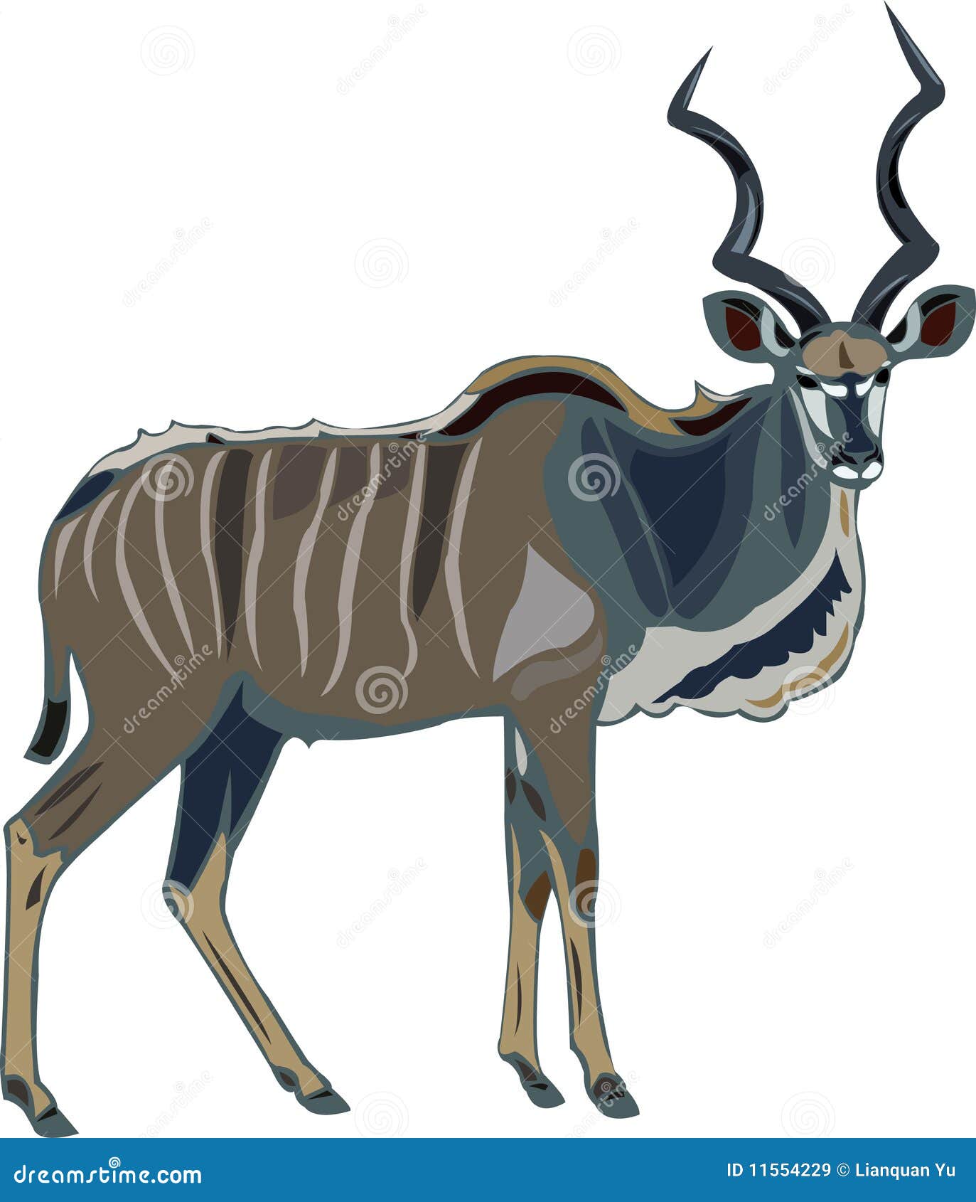 Antelope Series Greater Kudu Stock Vector - Illustration of kudu, hoof ...