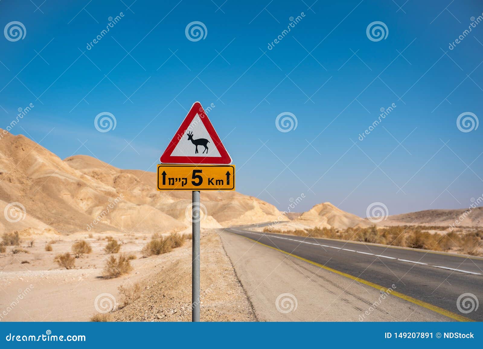 Antelope Sign in the Desert of Israel. Empty Road Stock Image - Image ...