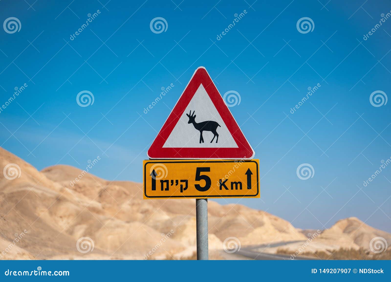 Antelope Sign in the Desert of Israel. Empty Road Stock Image - Image ...