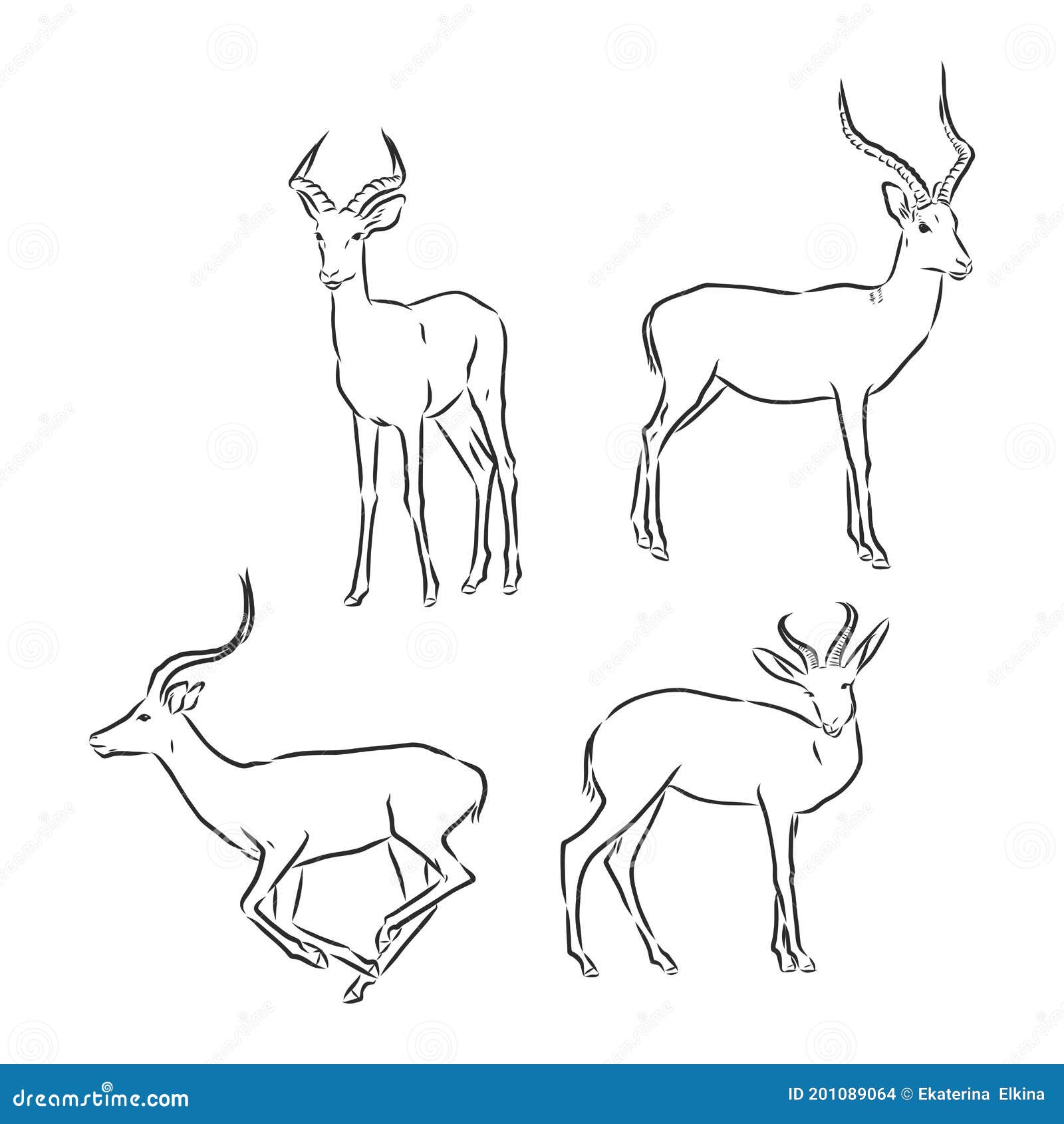 Antelope Sketch Vector Graphics Black and White Drawing. Antelope ...