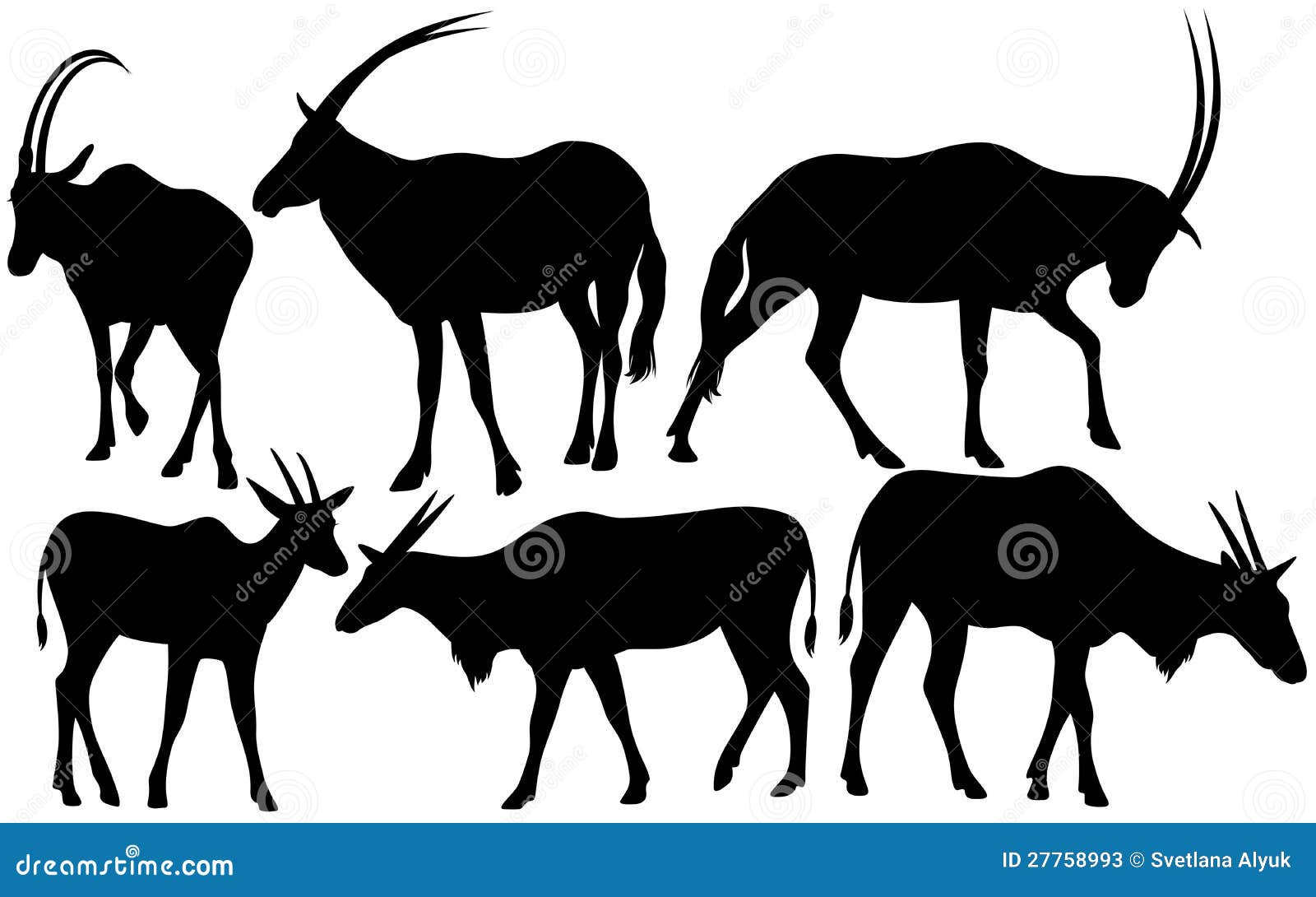 Antelopes vector stock vector. Illustration of nature - 27758993