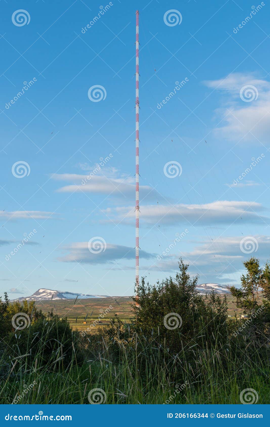 Big Antenna Mast For 3G, 4G And 5G Repeater In The Middle Of The Forest ...