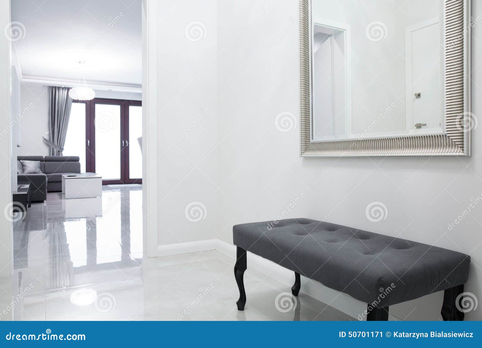 Anteroom in Luxury Apartment Stock Image - Image of indoor, hallway ...