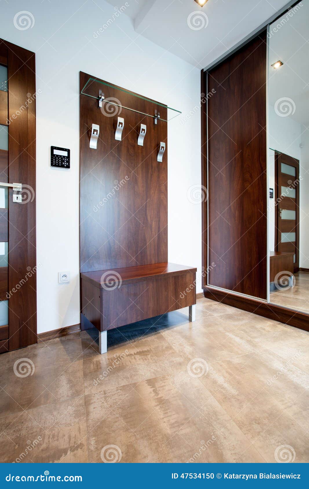 Anteroom with Wooden Elements Stock Photo - Image of entry, hall: 47534150